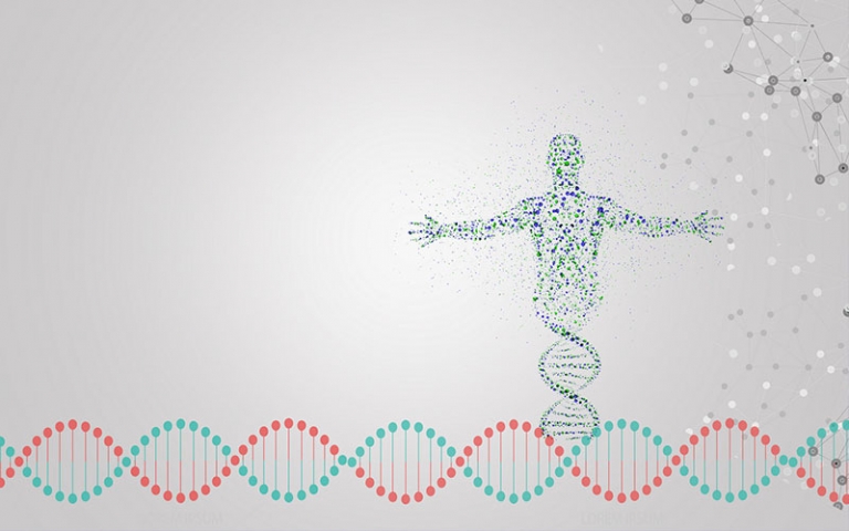 LAMP法とは | 遺伝子検査.com